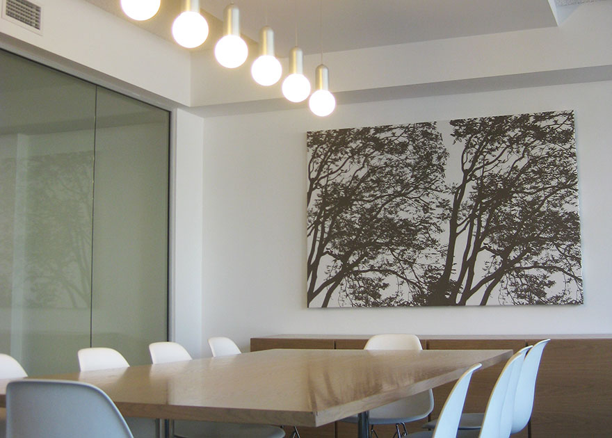 Graphite Architects Office Fitout